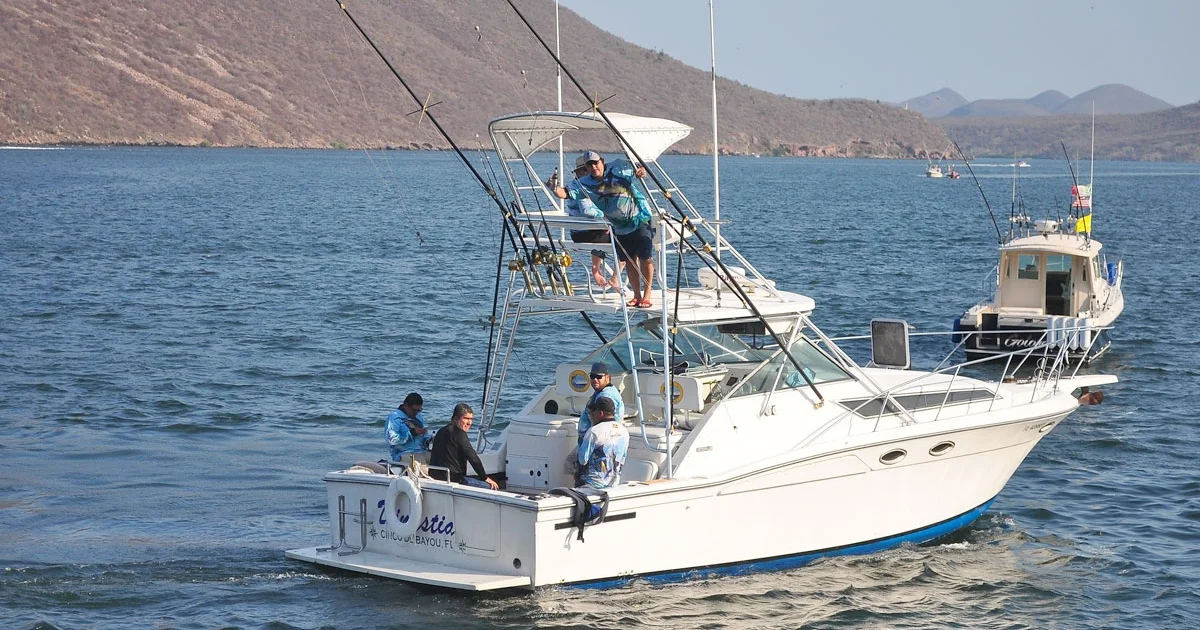 ¡Todavía hay lugar! Big Fish Topolobampo 2026 mantiene inscripciones ...