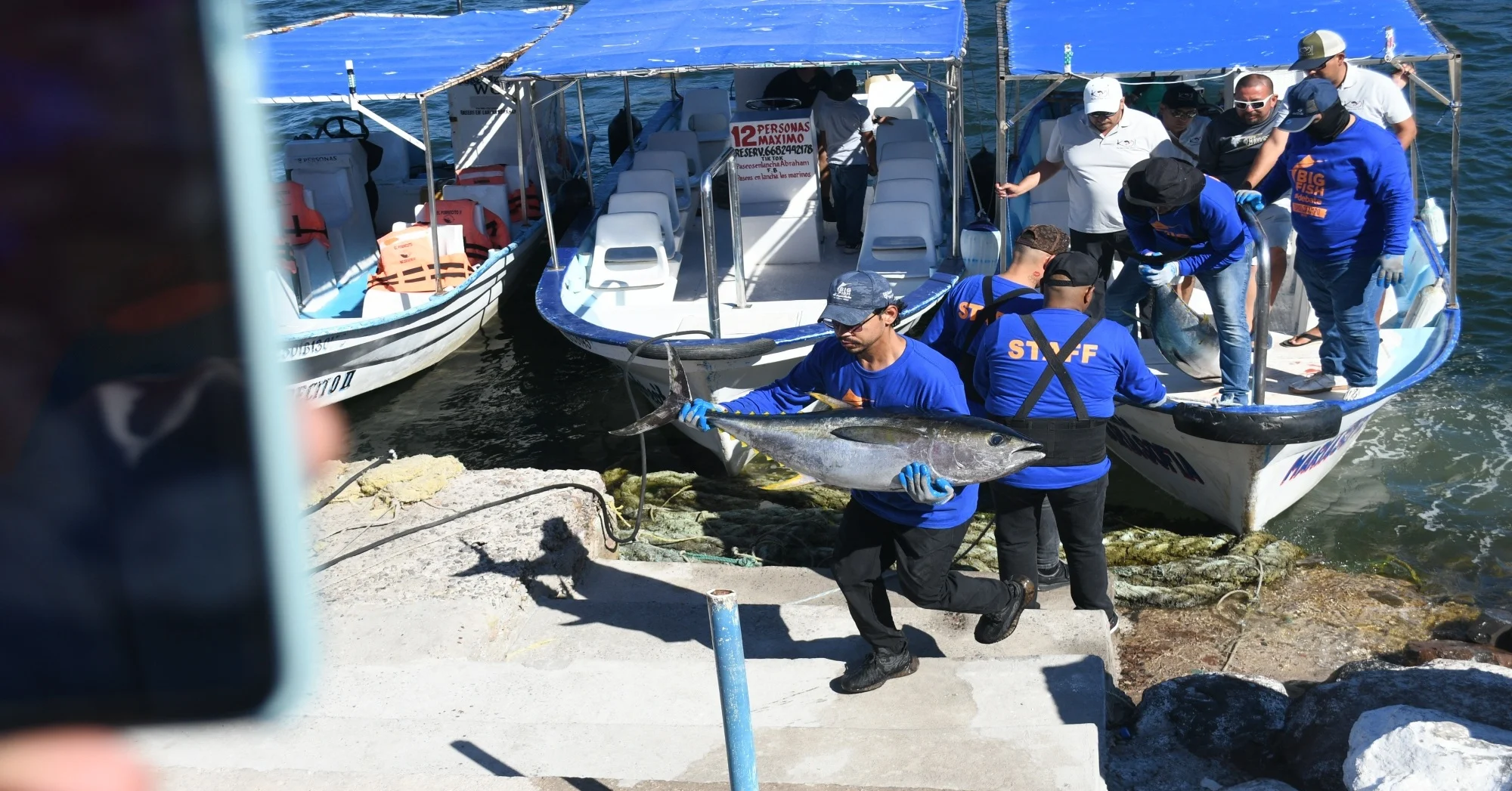 ¡Los gigantes amarillos toman Topolobampo! Así marcha la pelea por el ...